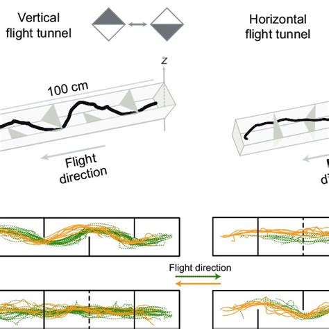 Flight Tunnels With Obstacles For Testing Flight Performance In