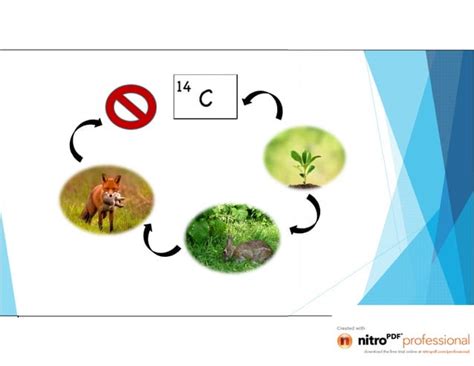 Fossil Dating Relative Dating Techniques Ppt