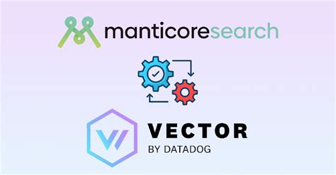 Integrating Manticore With Vector Dev Hackernoon