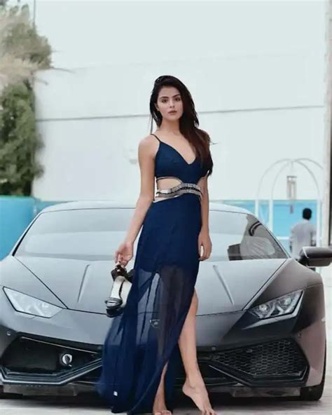 Priyanka Chahar Choudhary Bigg Boss 16 Age Husband Dating