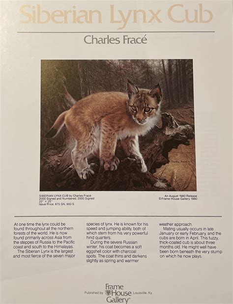 Syberian Lynx Cub” By Charles Frace Limited Edition Signed Numbered