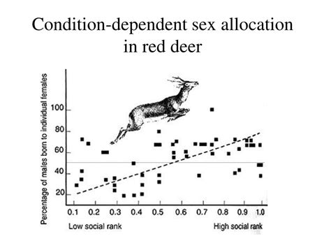 PPT Sex And Sex Ratio PowerPoint Presentation Free Download ID