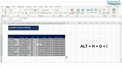 Autofit Column Excel Tips And Tricks Ananta Resource Youtube