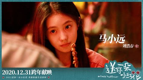 送你一朵小红花（2020年赵英俊演唱的歌曲） 百度百科