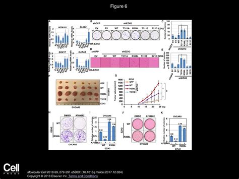 Volume 69 Issue 2 Pages E5 January 2018 Ppt Download