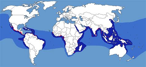 Where Do Hawksbill Turtles Live Map At Joseph Larrick Blog