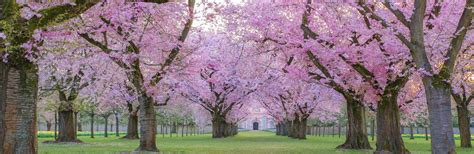 Eye Tracking Meg And Visual Search Fast Accurate Reliable Eye Tracking