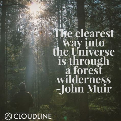Nature Hike Quotes