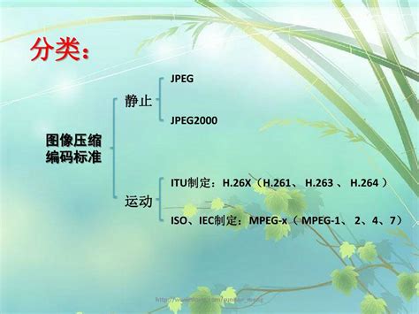 大学图像压缩编码标准 word文档在线阅读与下载 无忧文档
