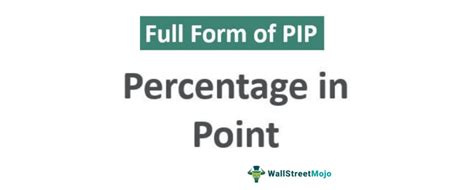 PIP In Forex Meaning Explained Trading Calculation