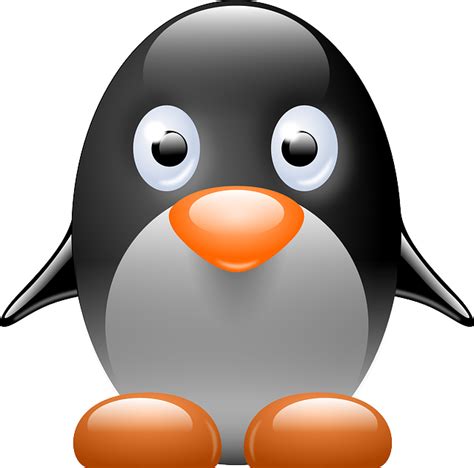 超过 100 张关于“linux”和“企鹅”的免费图片 pixabay