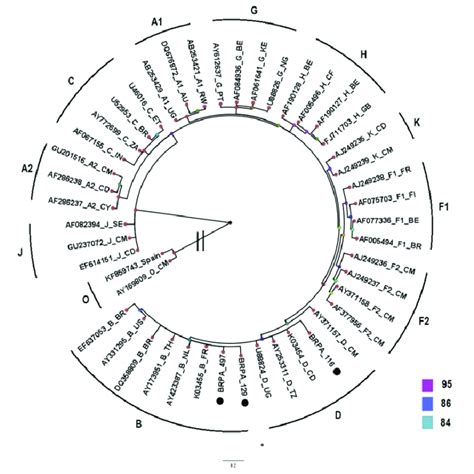 Phylogenetic Tree Inferred By The Bayesian Method Based On The Pro Download Scientific Diagram