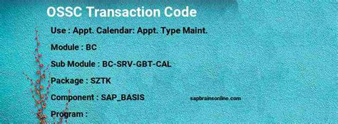 OSSC SAP Tcode For Appt Calendar Appt Type Maint