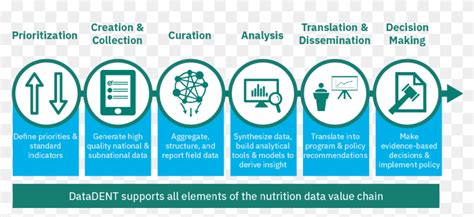 Data Value Chain HD Png Download X PinPng