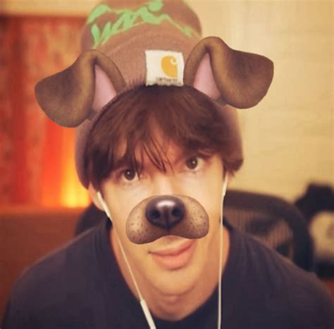 Flamingo Albert Pfp Flamingoalbert Albertflamingo Funny Flamingo