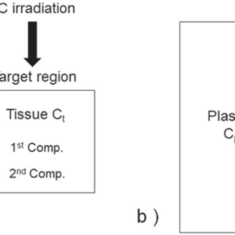 Single Tissue Compartment Models In The Kinetic Implanted ¹²c Model Download Scientific