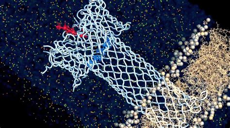 Genetically Engineering The Bacterial Pore Forming Toxin Aerolysin Can