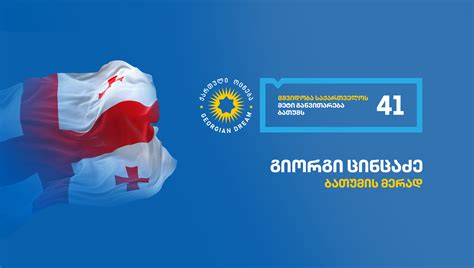 გიორგი ნემსაძე Giorgi Nemsadze 🔵 საქართველოს პრემიერ მინისტრი ირაკლი ღარიბაშვილი პარტია