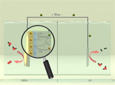 Modulating Co Catalystfacet Junction For Enhanced Photoelectrochemical Water Splitting Acs