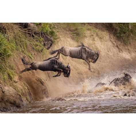 17 Stories Great Migration By Dennis Stogsdill Wrapped Canvas