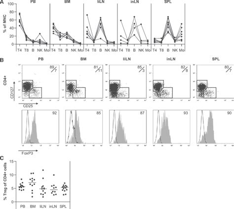Distribution Of Mononuclear Cells In Different Healthy Human Tissues