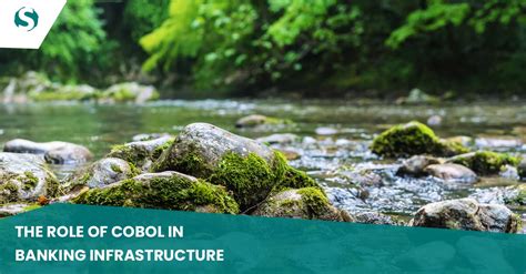 The Role Of Cobol In Banking Infrastructure Sysmatch