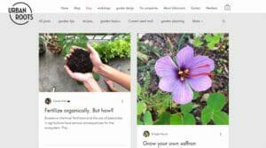 28 Best Wix Blog Examples In 2023