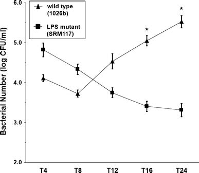 Survival Kinetics Of Wild Type B Pseudomallei 1026b And B