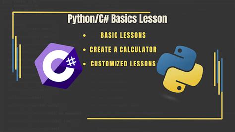 Teach You Python Basics With Custom Examples And Explanations By