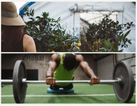 Create Smooth Image Loading Transitions With Blurry Image Loader Css