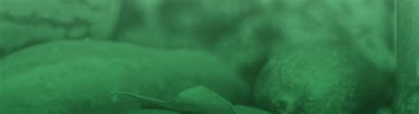 Nutrients Mdpi Basel