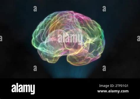 Wireframe 3d Animation Of The Human Brain Rotating Brain Model With