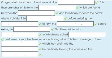 Anatomy Diagram Quizlet