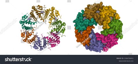 1 Clpp Royalty Free Photos And Stock Images Shutterstock