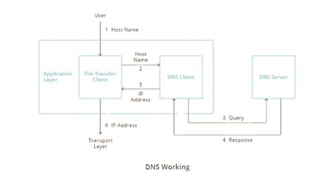 Dns Vs Dhcp Exploring The Key Differences Ascentoptics Blog