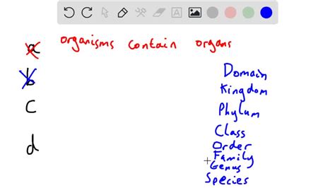 Solved Which Of The Following Is Shown In The Correct Order Low Level Format Partition High