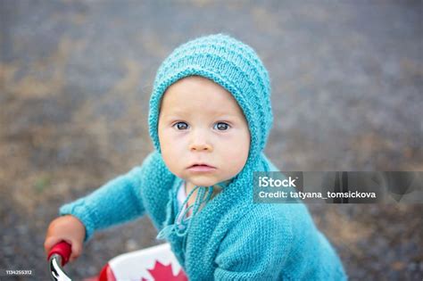 귀여운 유아 아이 소년 일몰에 뒤뜰에서 세 발 자전거와 함께 노는 1위에 대한 스톡 사진 및 기타 이미지 1위 가을 가족 Istock
