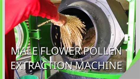 Male Flower Pollen Extraction Machine For Dates Youtube