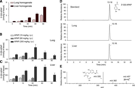 APAP Addition To Tissue Homogenates And Systemic APAP Administration In Download Scientific