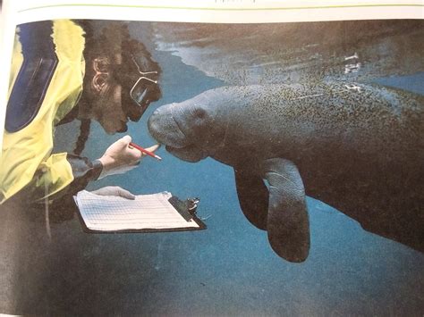 This Picture In My Environmental Science Textbook Rmildlyinfuriating