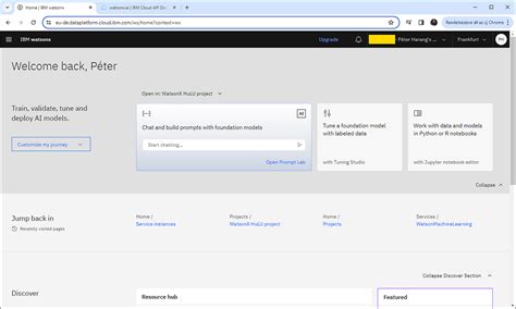 Setting Up Ibm Watsonxai For Api Based Text Inference By Péter