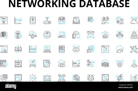 Networking Database Linear Icons Set Connect Collaboration
