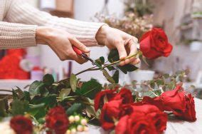 Cómo Cuidar Y Conservar Un Ramo De Rosas Cortadas Por Más Tiempo