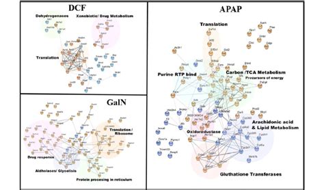 Annotated Network Of Regulated Molecules Specific For Each Treatment