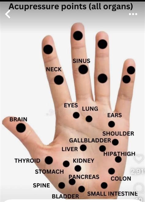Lu9 Acupressure Point Benefits Artofit