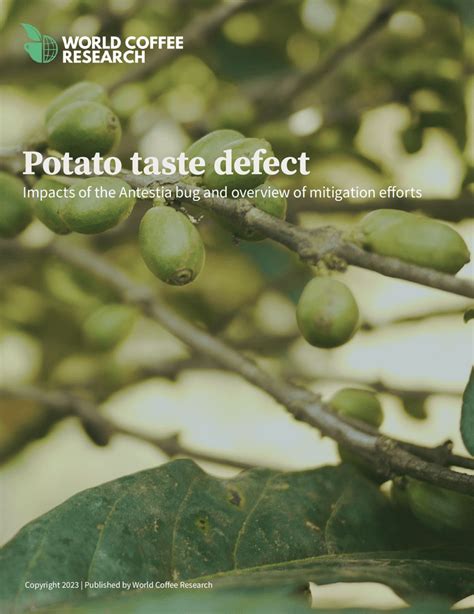 World Coffee Research Potato Taste Defect