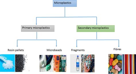 From Oceans To Dinner Plates The Impact Of Microplastics On Human