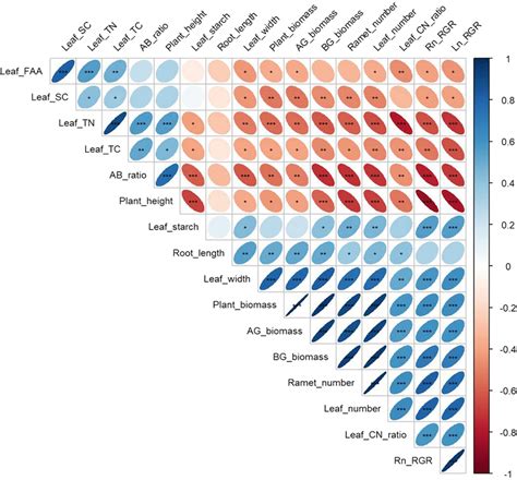 Correlation Analysis Of The Morphological And Physiological Traits Of