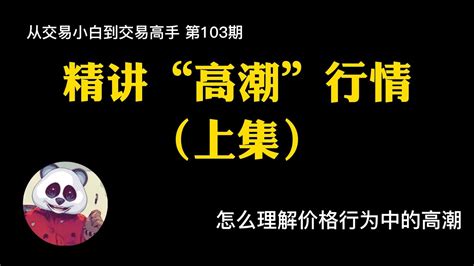 【第103期】精讲价格行为中的“高潮”行情（上集） Youtube