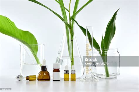 화장품 병 용기 녹색 허브 잎 및 과학적인 유리 빈 레이블 모형 연구를 브랜딩 패키지와 자연 유기 뷰티 스킨케어 제품 개념을 개발 개발에 대한 스톡 사진 및 기타 이미지